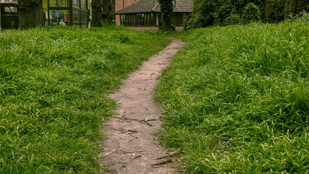 Desire Paths - This is Croydon