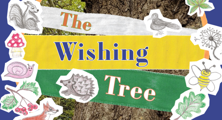The Wishing Tree - This is Croydon
